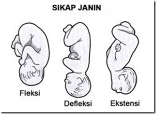 INFORMASI REPRODUKSI: PERAWATAN ANTENATAL LANJUTAN